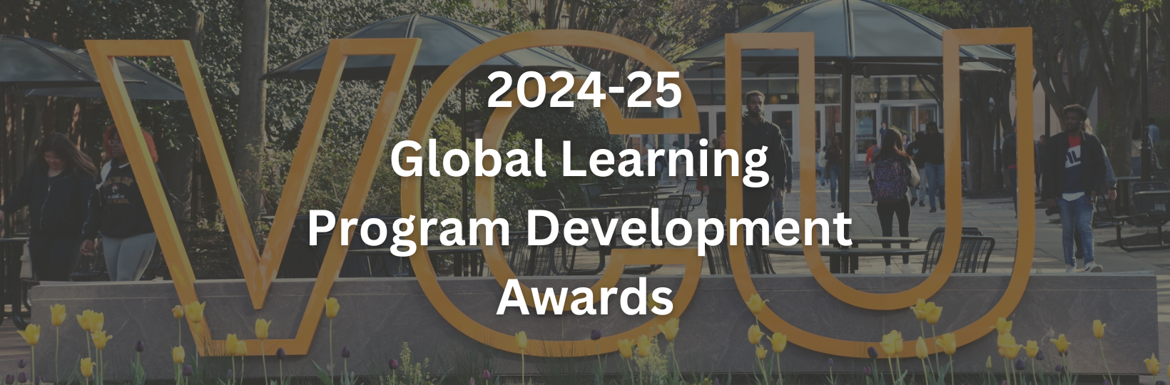 Global Learning Program Development Awards help fund innovative ...